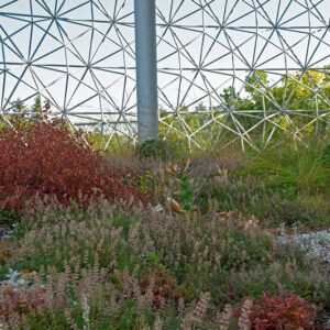 Biosphere | Aménagement Côté Jardin